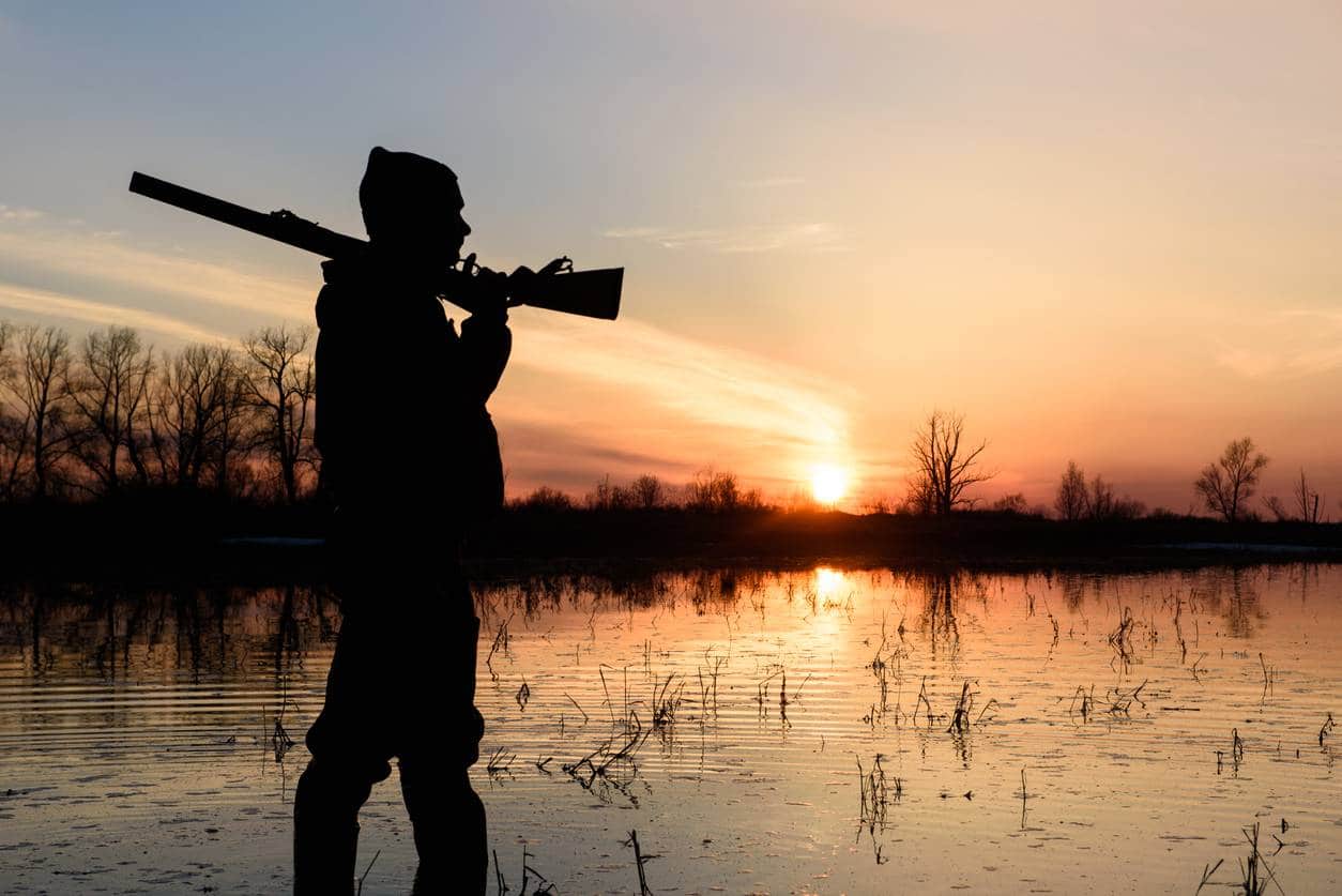 Chasse au canard : devenez un pro ! - Doodoo